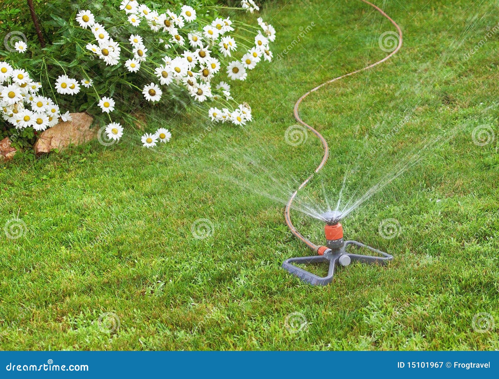 De sproeier van het gazon stock afbeelding. Image of irrigatie - 15101967