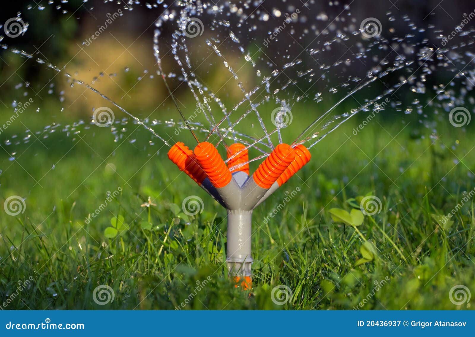 De sproeier van het gazon stock afbeelding. Image of spatten - 20436937