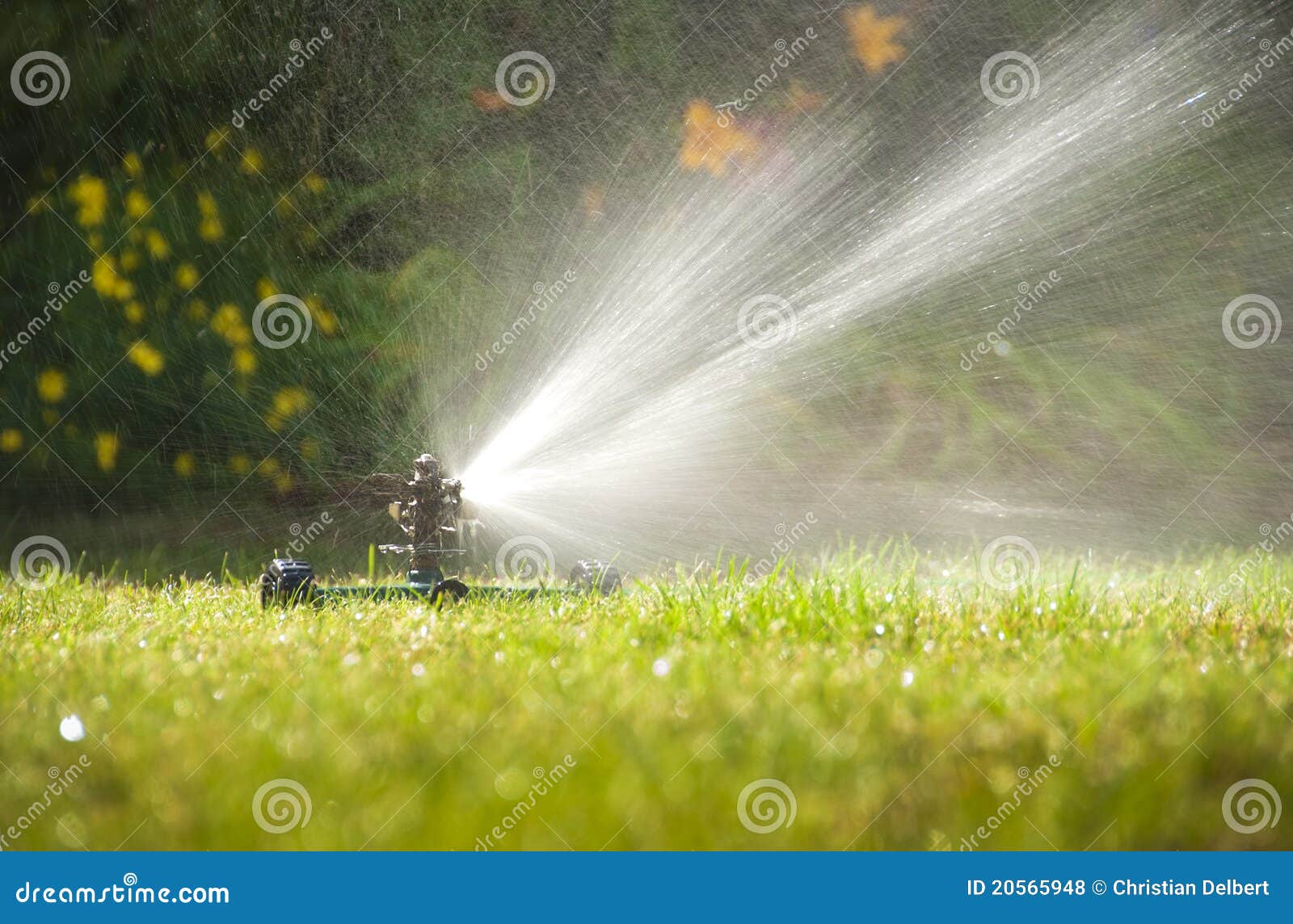 De sproeier van het gazon stock foto. Image of lente - 20565948