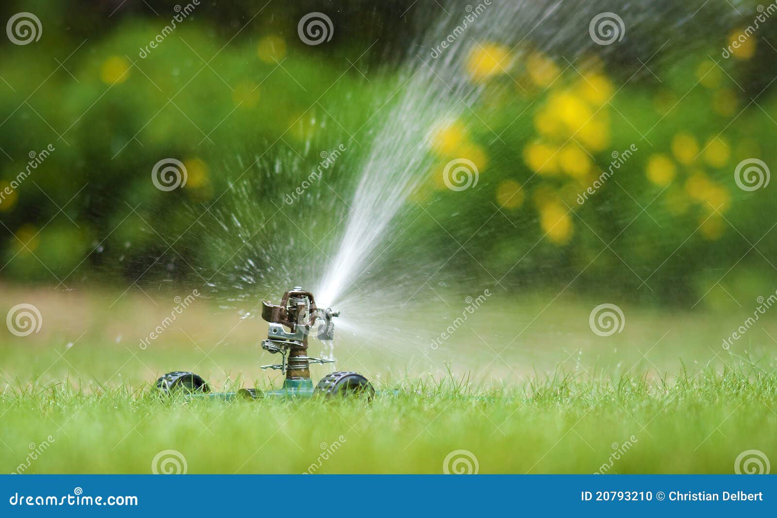 De sproeier van het gazon stock foto. Image of apparatuur - 20793210