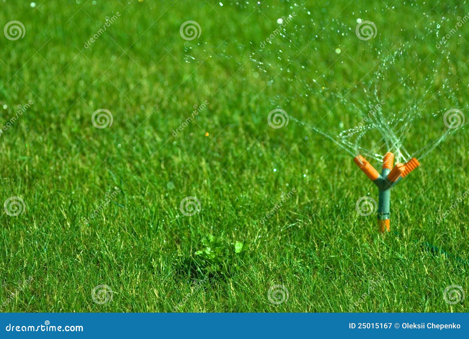 De sproeier van het gazon stock afbeelding. Image of apparaat - 25015167