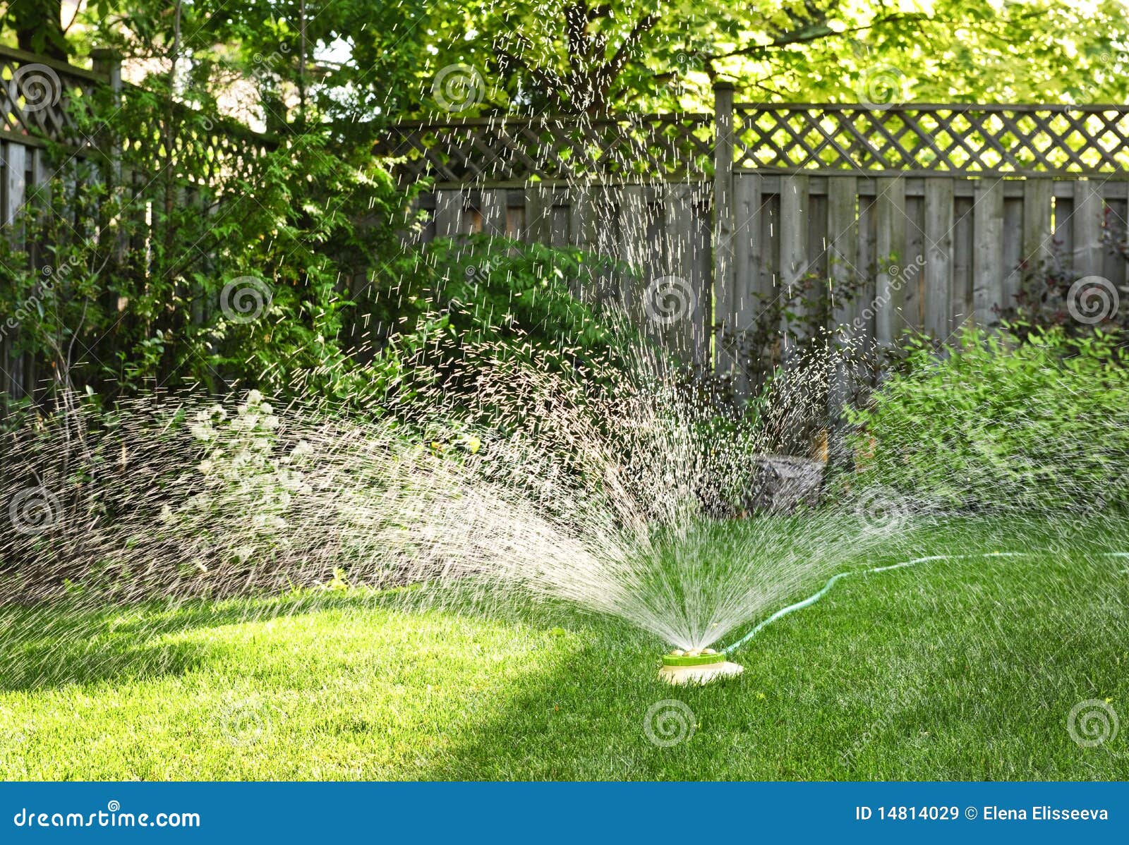 De Sproeier Van Het Gazon Het Water Geven Gras Stock Afbeelding - Image ...