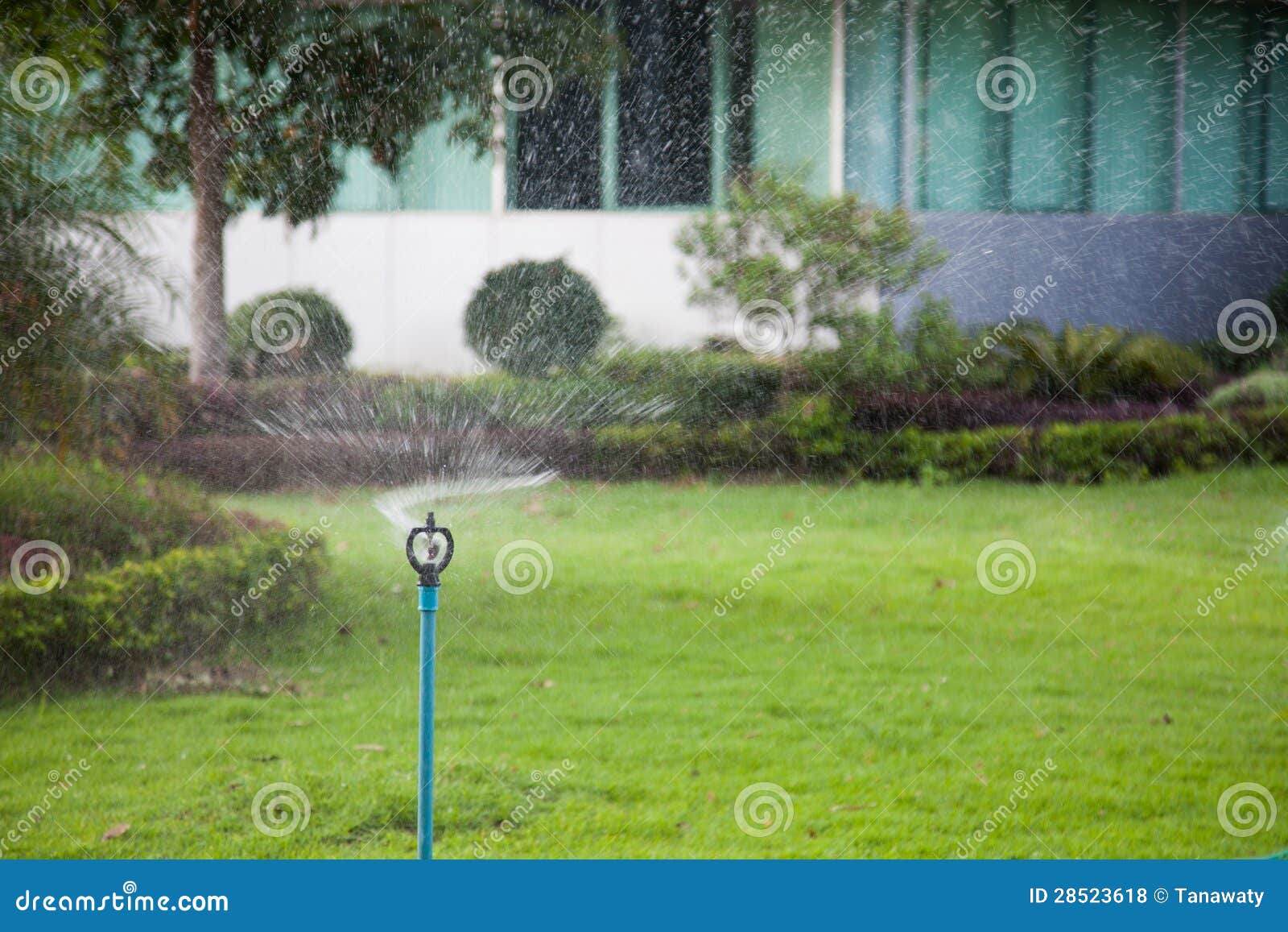 De Sproeier Van Het Gazon Het Water Geven Gras Stock Foto - Image of ...