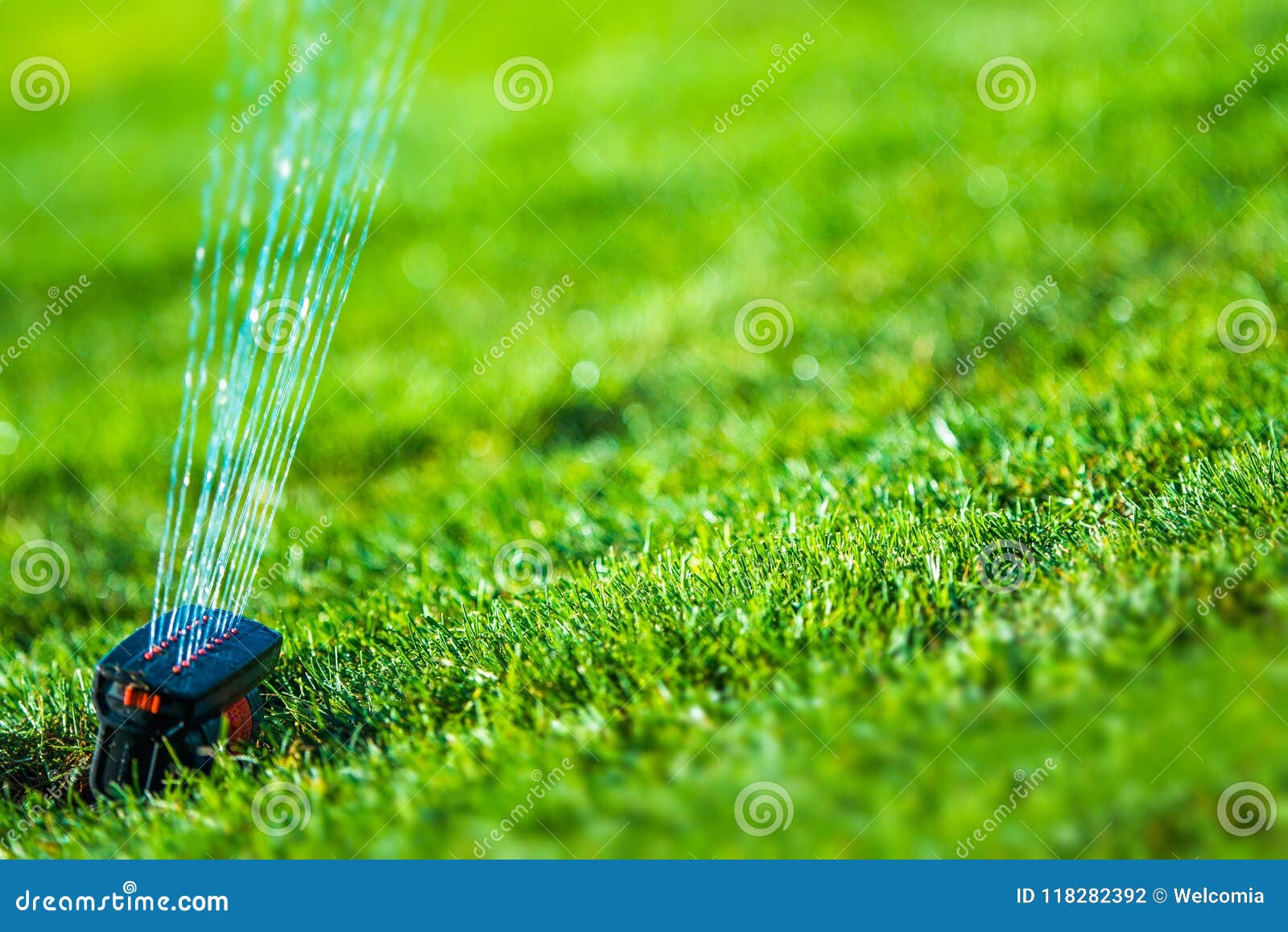 De Sproeier Van Het Tuingras Stock Foto - Image of industrie ...
