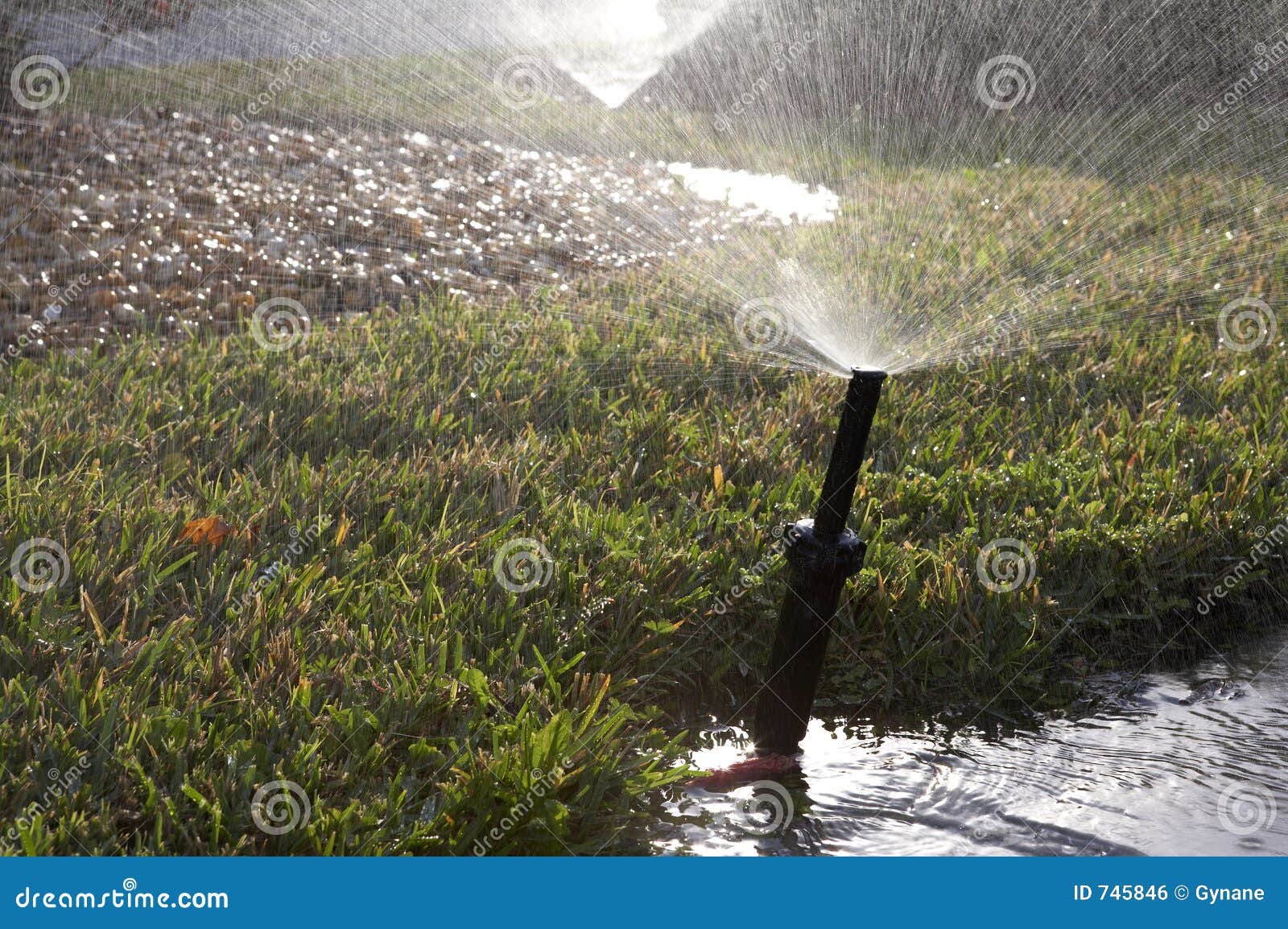 De Sproeier Van Het Water Voor Gras Stock Foto - Image of daling ...