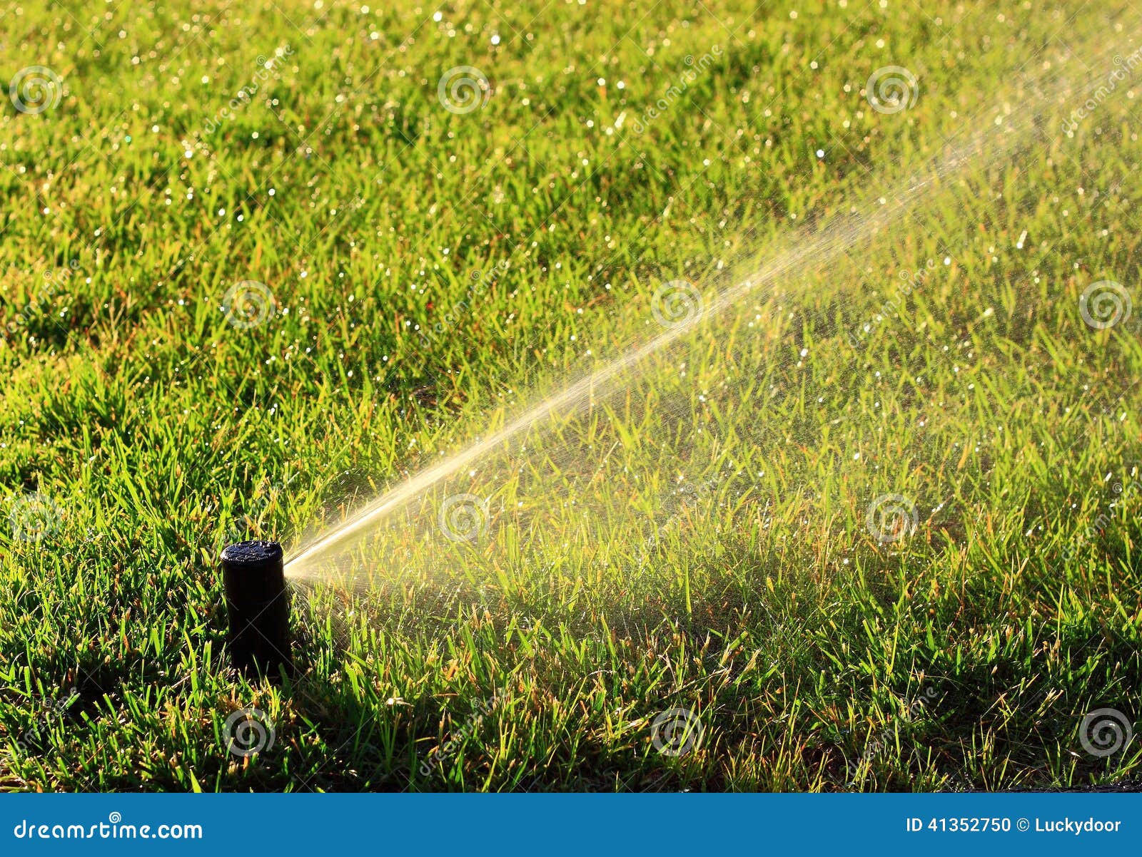 De Sproeier Van Het Watergazon Stock Foto - Image of daling, pomp: 41352750