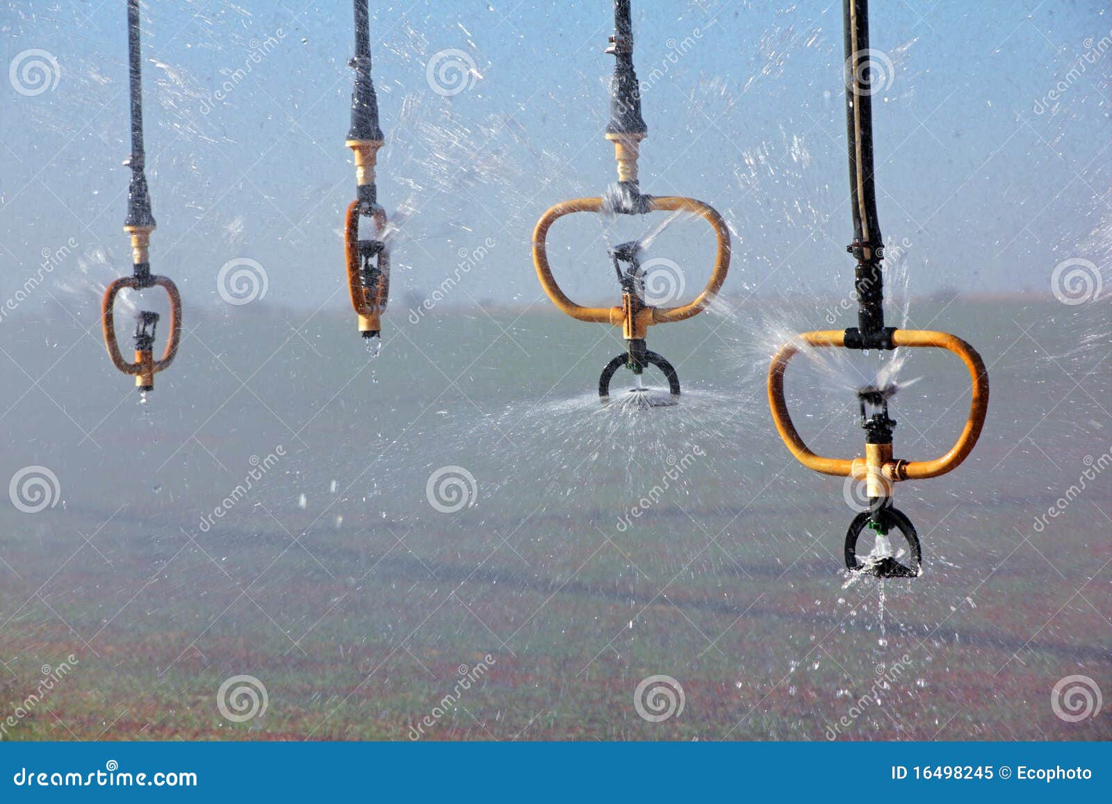 De sproeiers van het water stock afbeelding. Image of oogst - 16498245