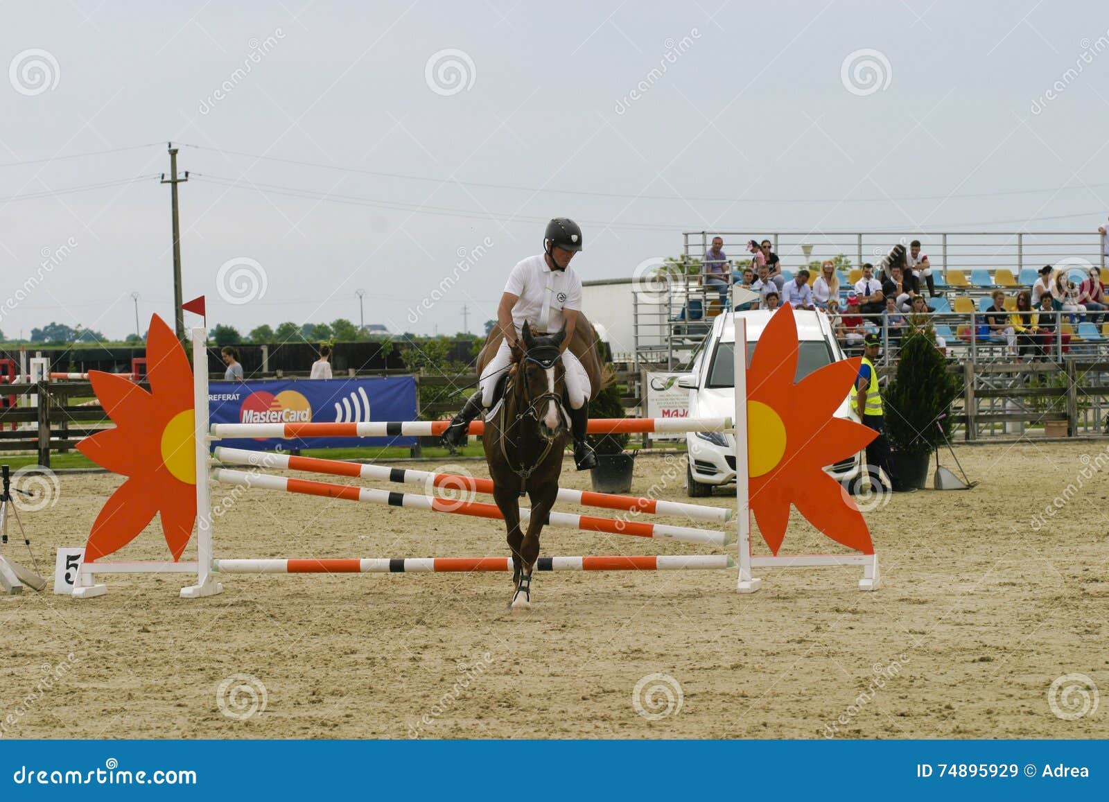 De sprong van het paard redactionele stock afbeelding. Image of greep ...