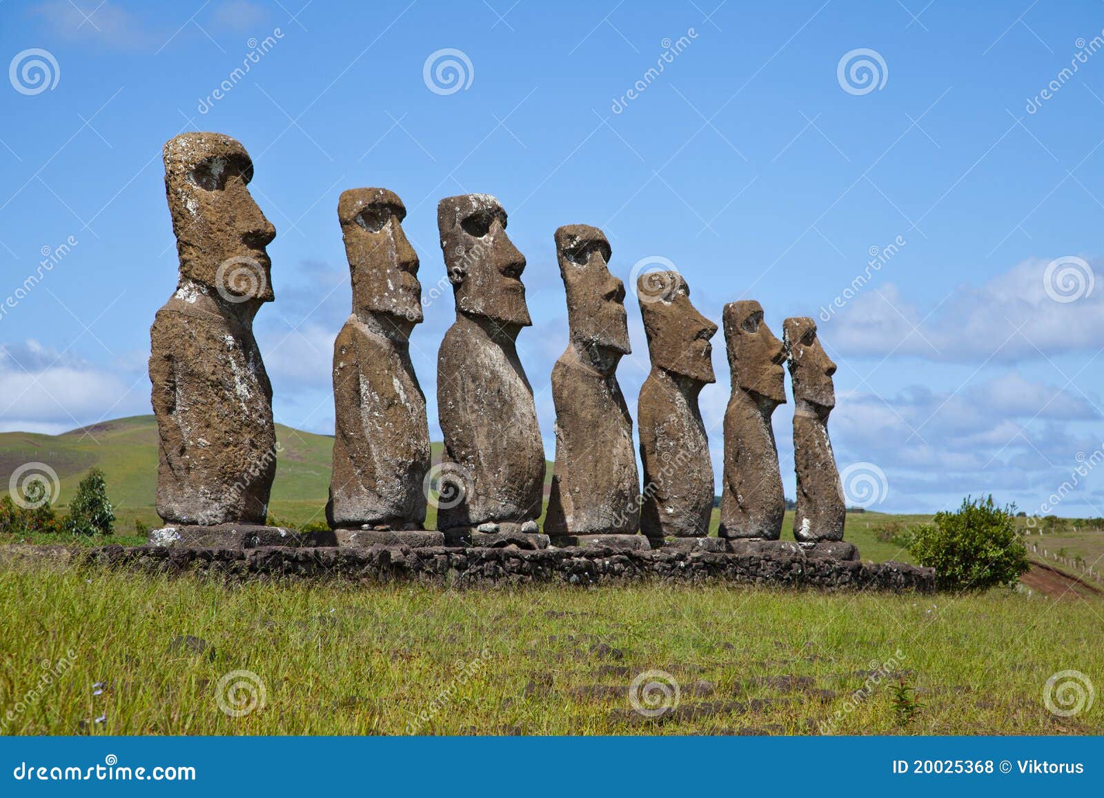 De Standbeelden Van Het Eiland Van Pasen Stock Foto - Image of gras ...