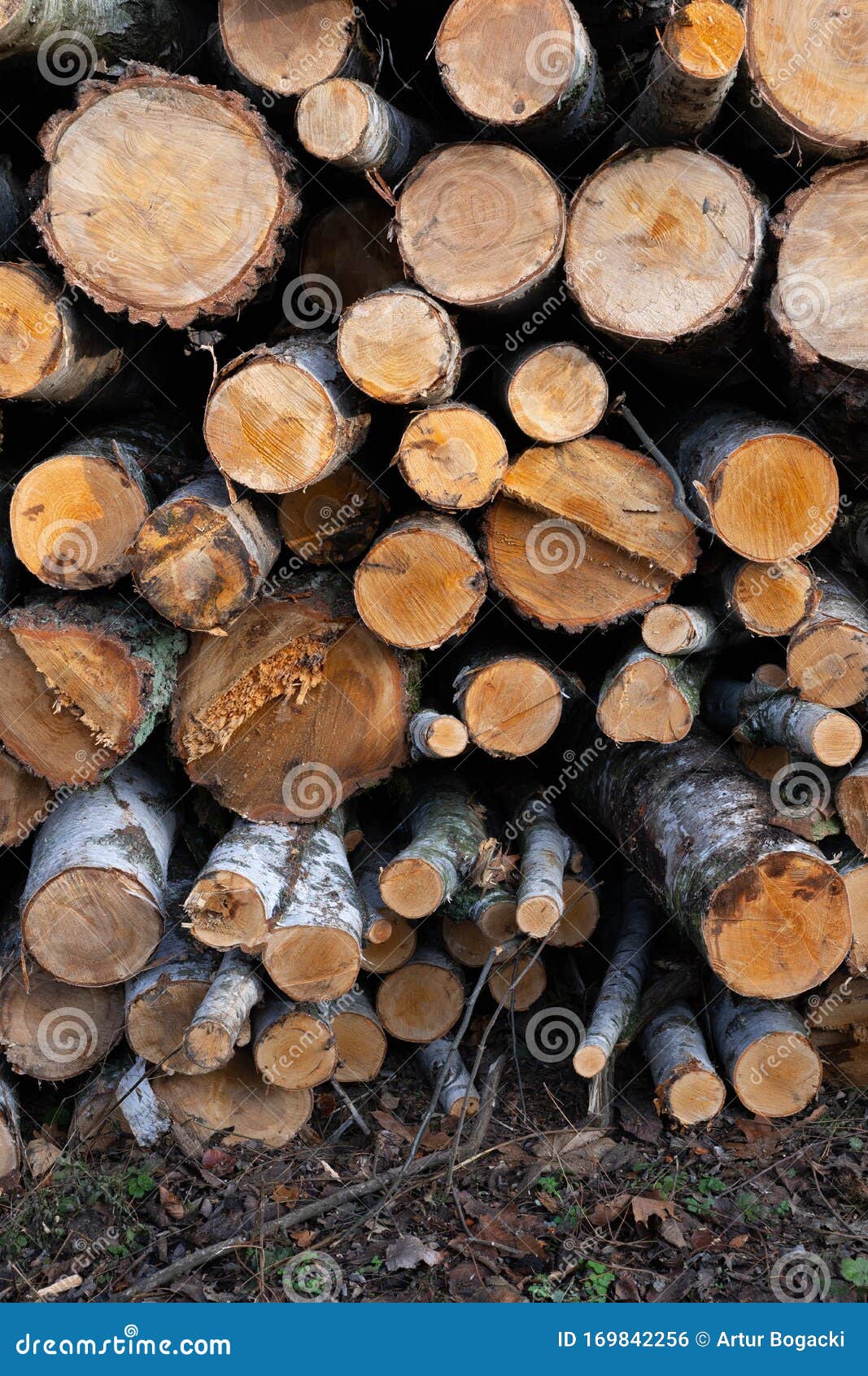 De Stapel Van De Boomstammen Van De Boom Stock Foto - Image of hoop ...