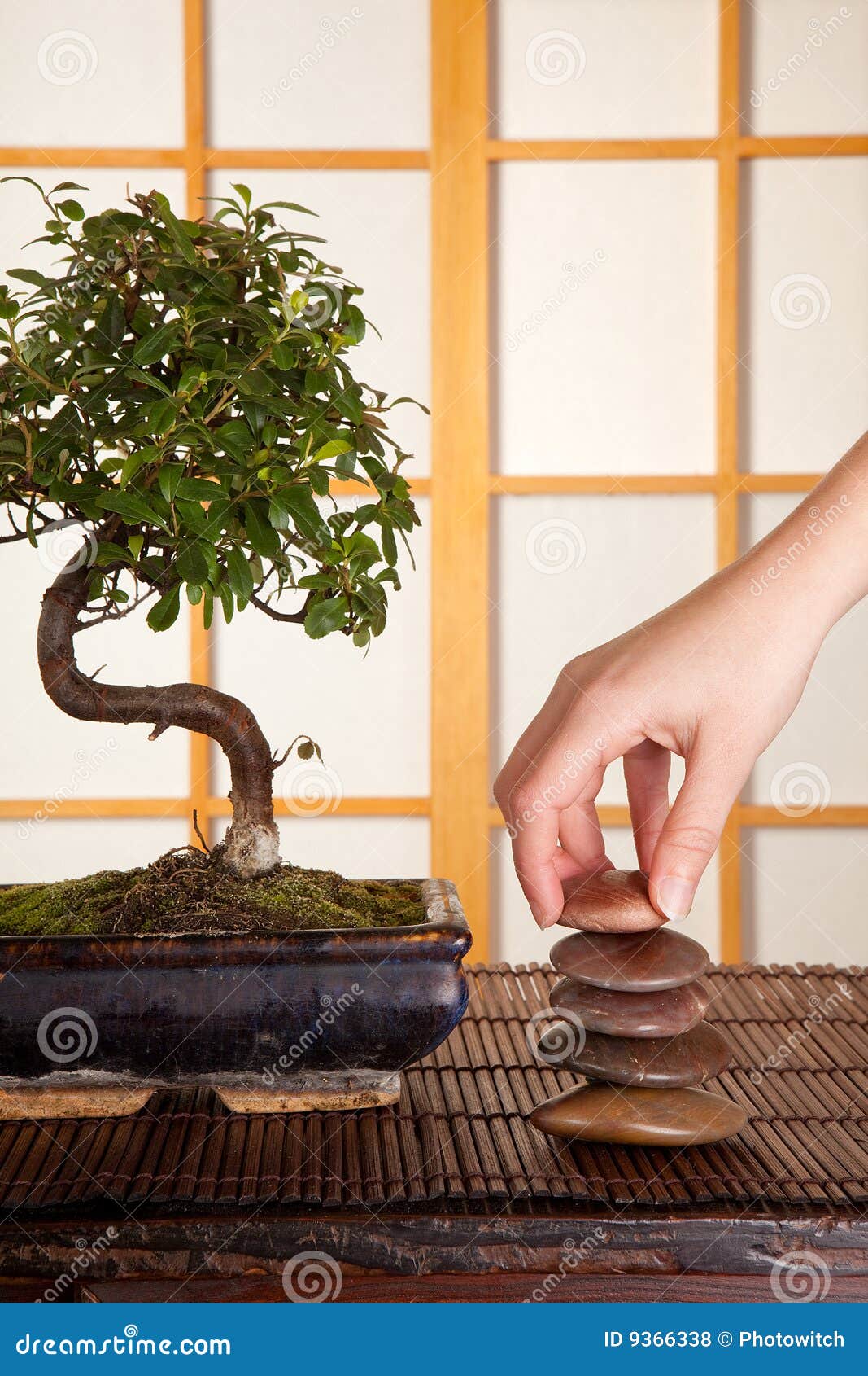 De Stenen En De Bonsai Van Zen Stock Foto - Image of perfectie, geest ...