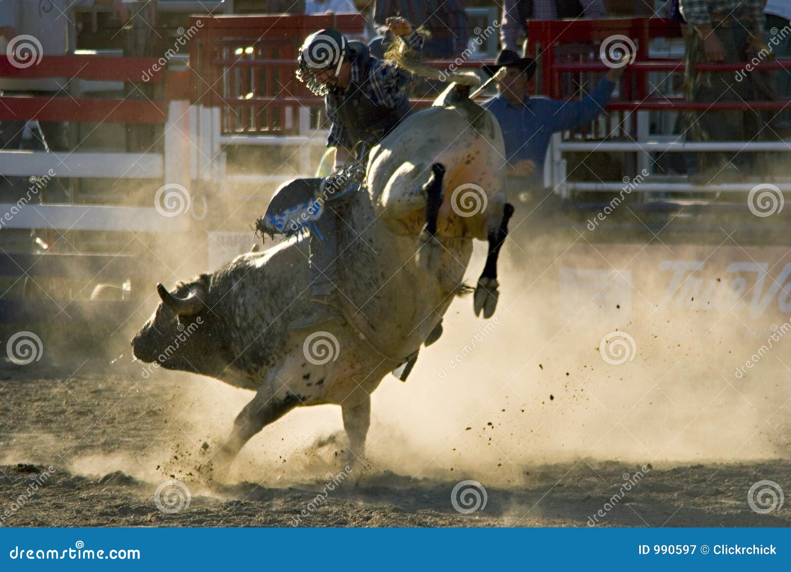 De Stier En De Ruiter Van De Rodeo Stock Afbeelding - Image of ruiter ...