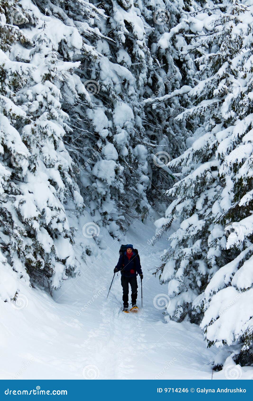 De stijging van de winter stock foto. Image of mens, stijging - 9714246