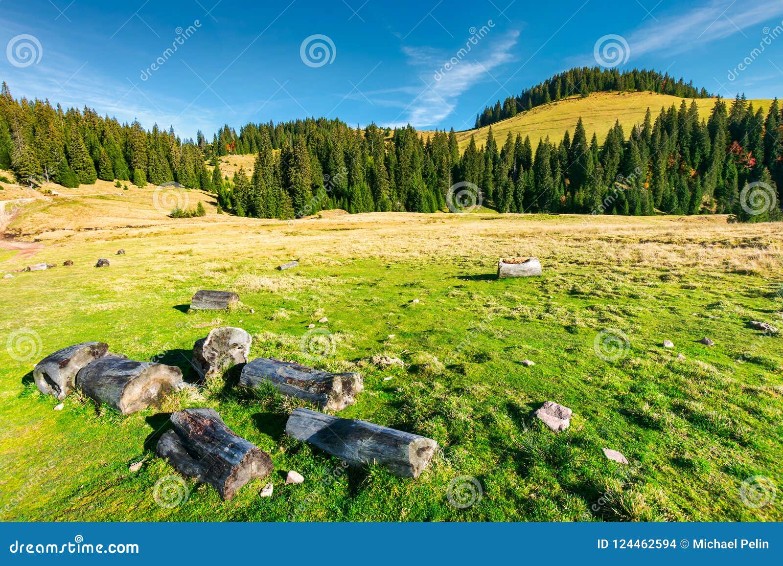 De Stompen En Opent Een Grasrijke Weide Het Programma Stock Foto ...