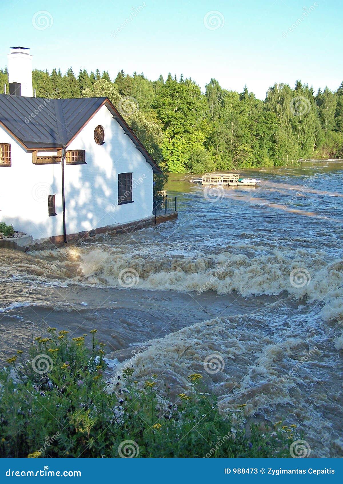 De Stortvloed Van De Vloed Bij De Lente Stock Afbeelding - Image of ...