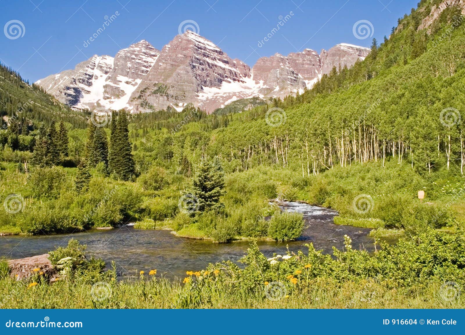 De Stroom Van De Berg Van Colorado Stock Foto - Image of klokken, meer ...