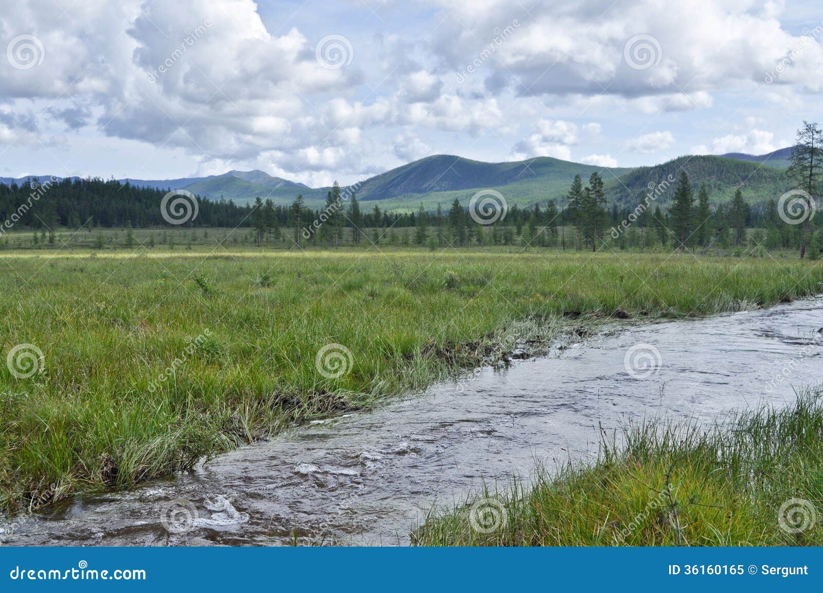 De Stroomstromen Door Het Moeras. Stock Afbeelding - Image of ...