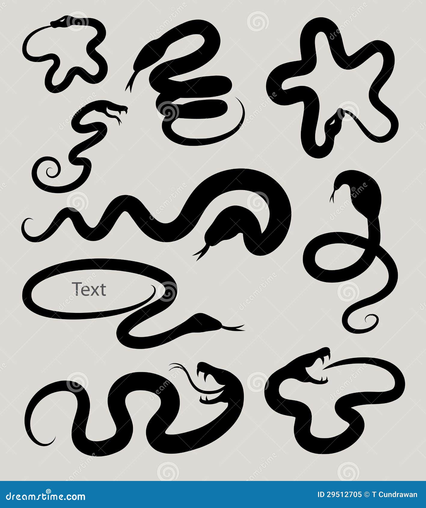 De Symbolen Van Het Silhouet Van De Slang Vector Illustratie ...