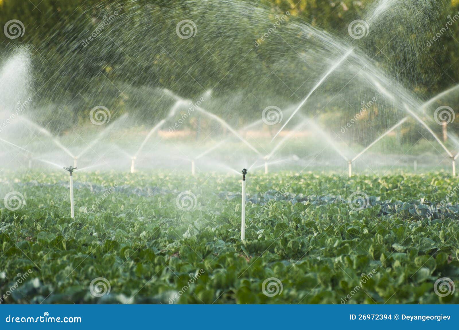 De Systemen Van De Irrigatie Stock Foto - Image of groen, irrigatie ...