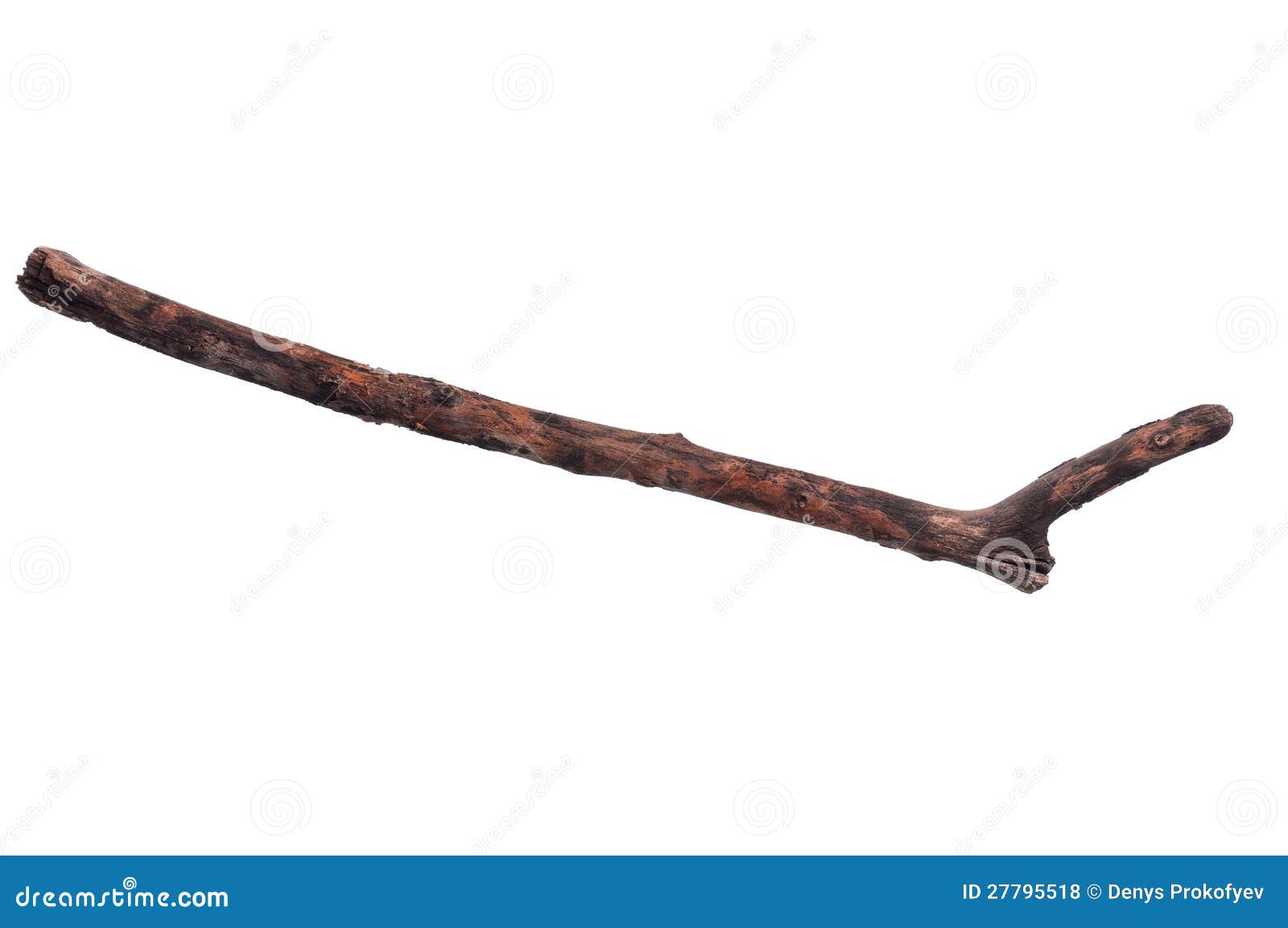 De tak van de boom stock foto. Image of droog, stuk, ontwerp - 27795518