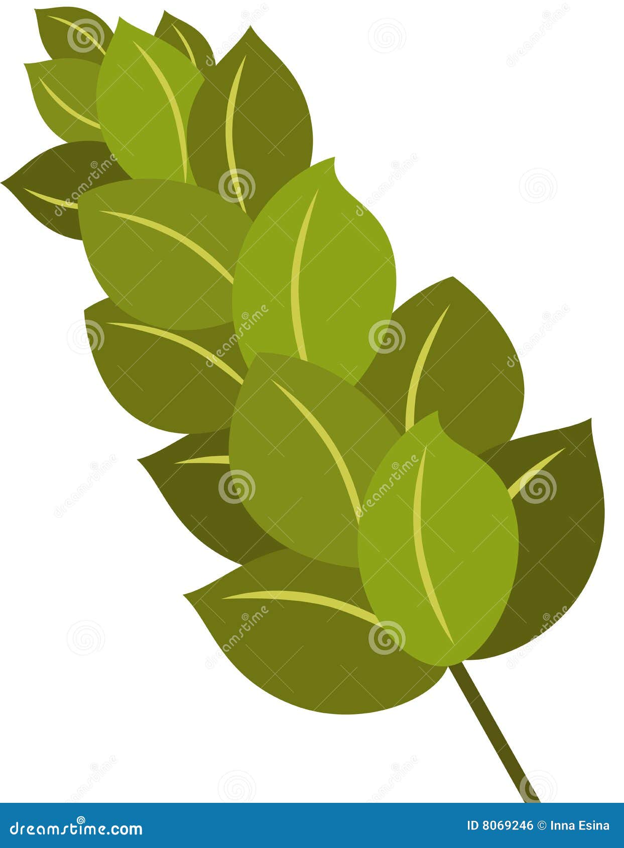 De Tak van de laurier vector illustratie. Illustration of schilderij ...