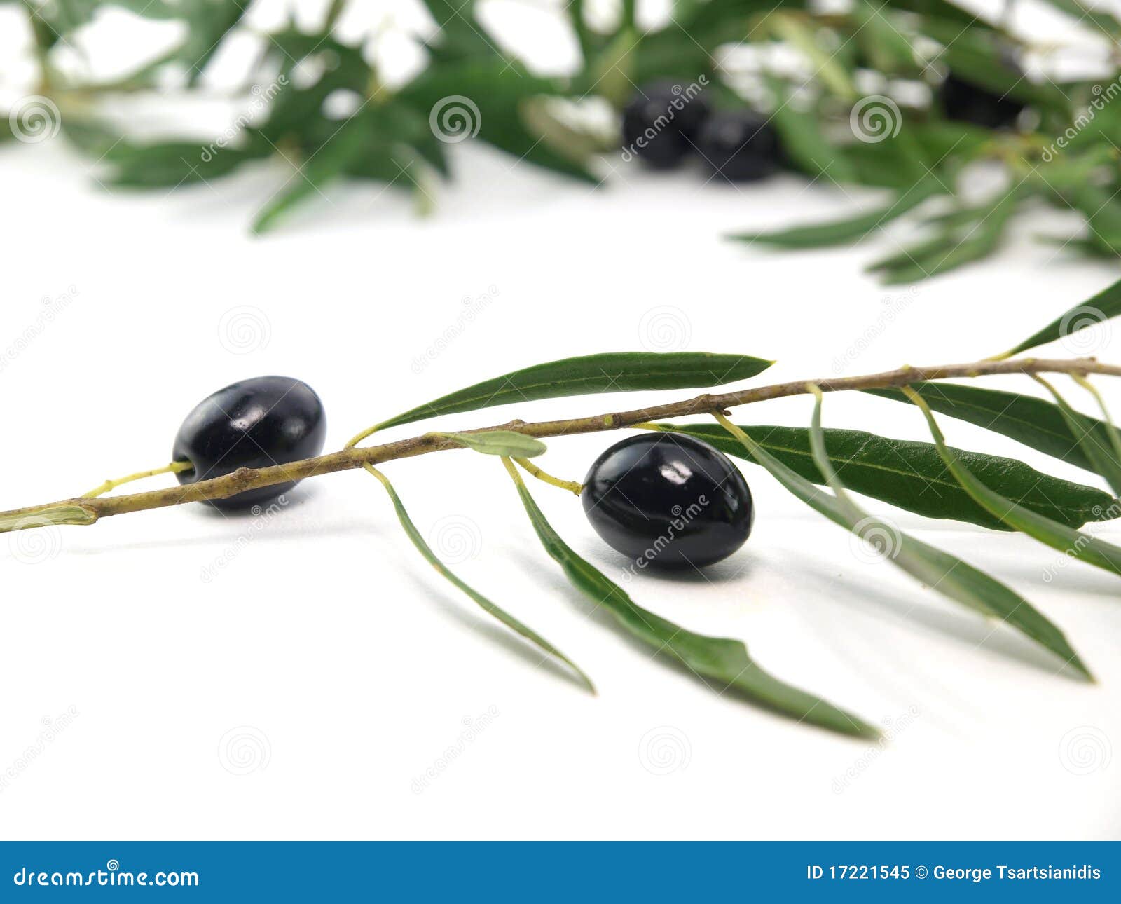 De tak van de olijf stock afbeelding. Image of plantaardig - 17221545