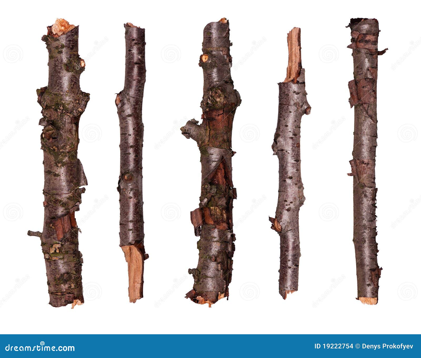 De takken van de boom stock foto. Image of buiten, schot - 19222754