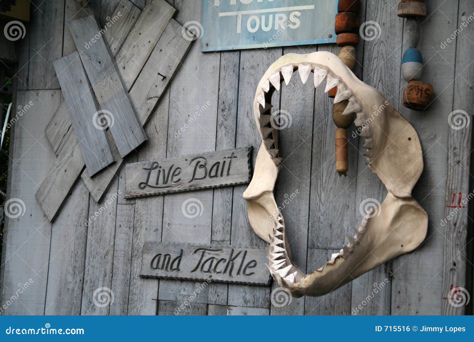 De Tanden van de haai stock foto. Image of tanden, uitrusting - 715516