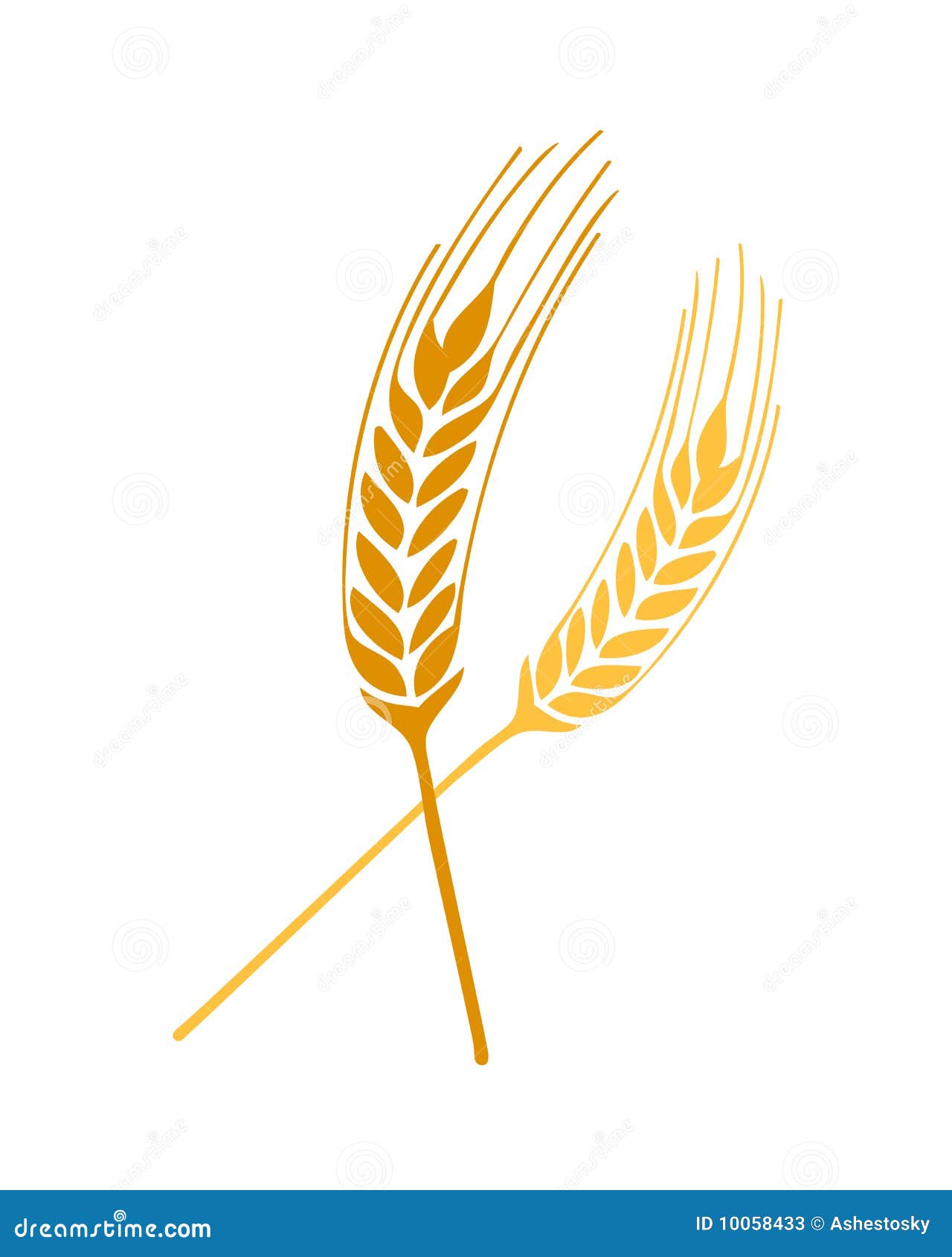 De tarwe springt vector op vector illustratie. Illustration of ...