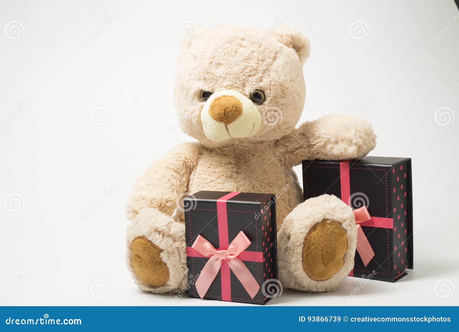 De Teddybeer Met Stelt Voor Picture. Image: 93866739