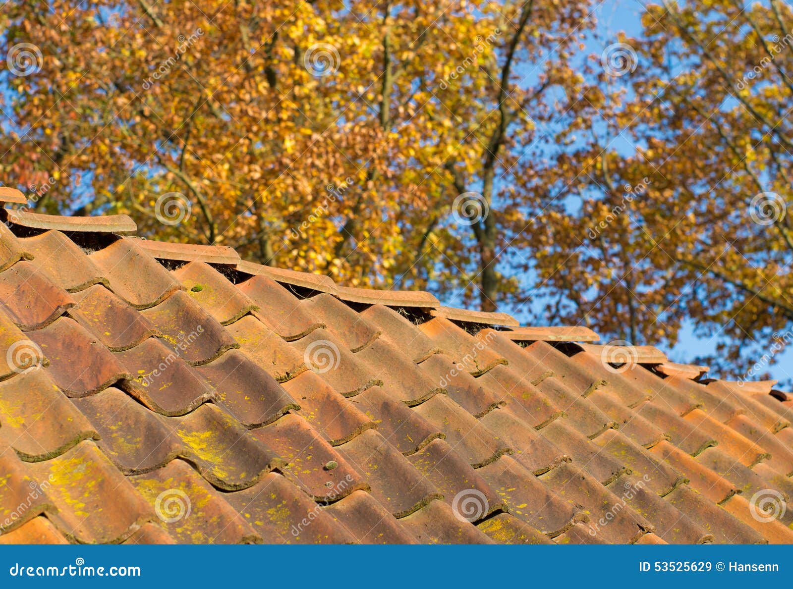 De tegels van het dak stock afbeelding. Image of huis - 53525629