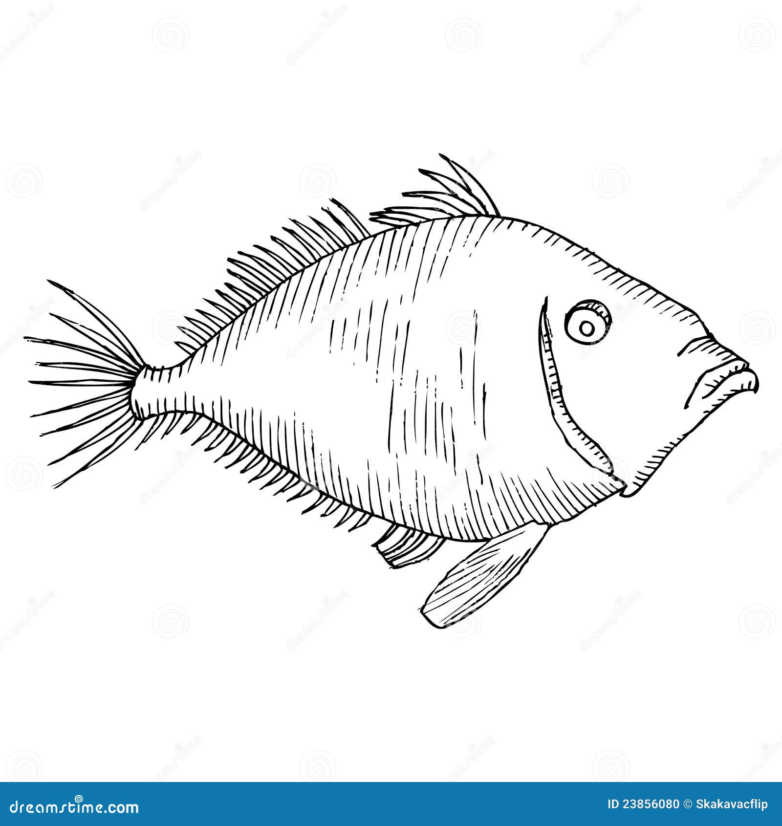 De tekening van vissen vector illustratie. Illustration of banner ...