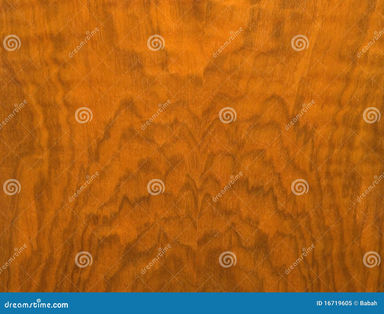 De textuur van de boom stock illustratie. Illustration of concept ...