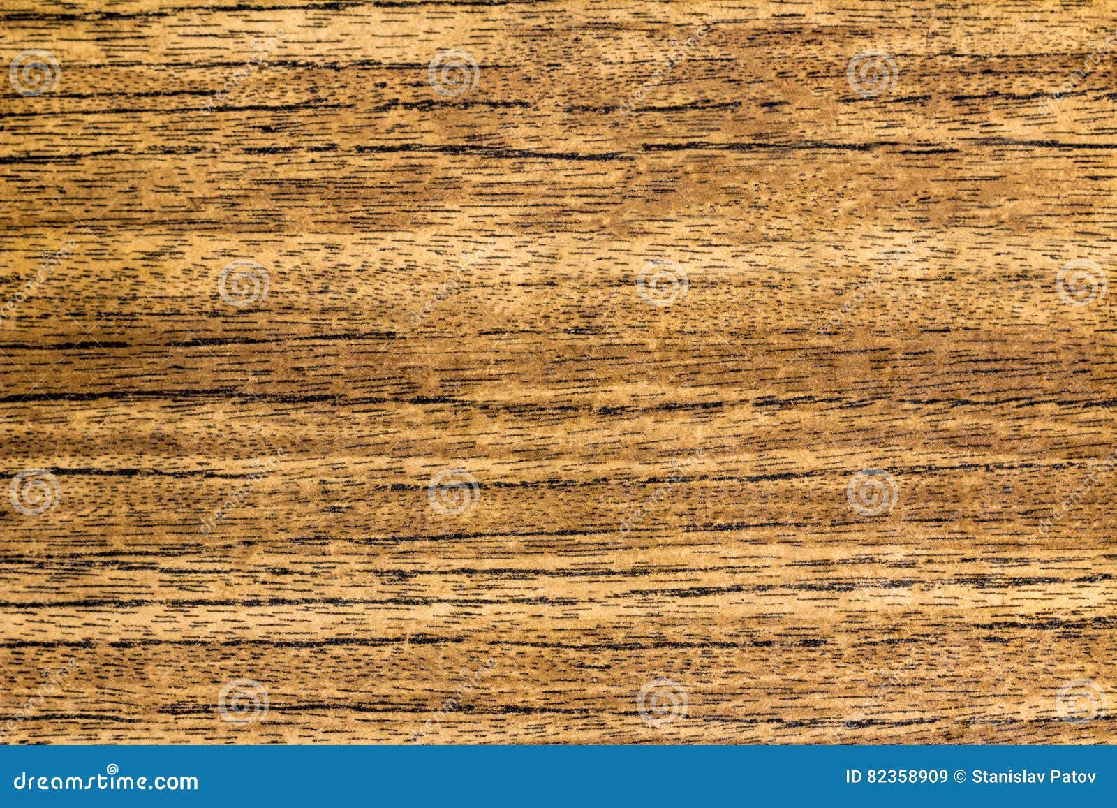 De Textuur Van De Boom, Sluit Omhoog, Achtergrond Stock Afbeelding ...