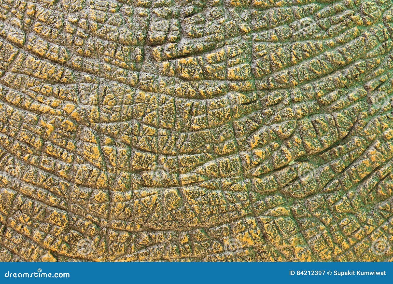 De Textuur Van De Dinosaurushuid Stock Afbeelding - Image of dier, muur ...