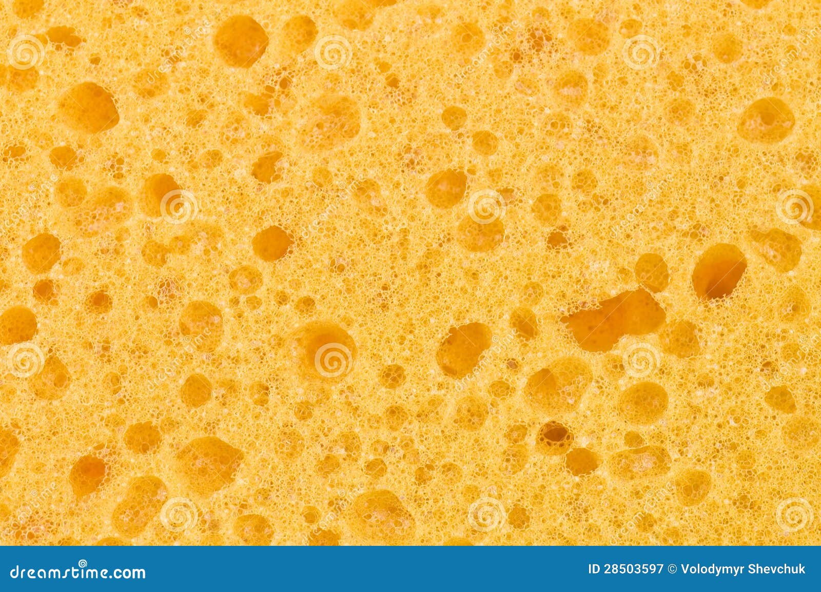 De textuur van de spons stock afbeelding. Image of fotografie - 28503597