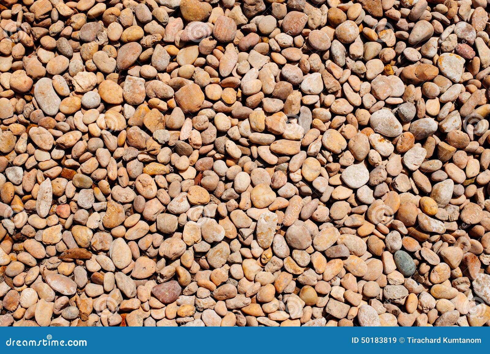 De textuur van de steen stock afbeelding. Image of petrificatie - 50183819