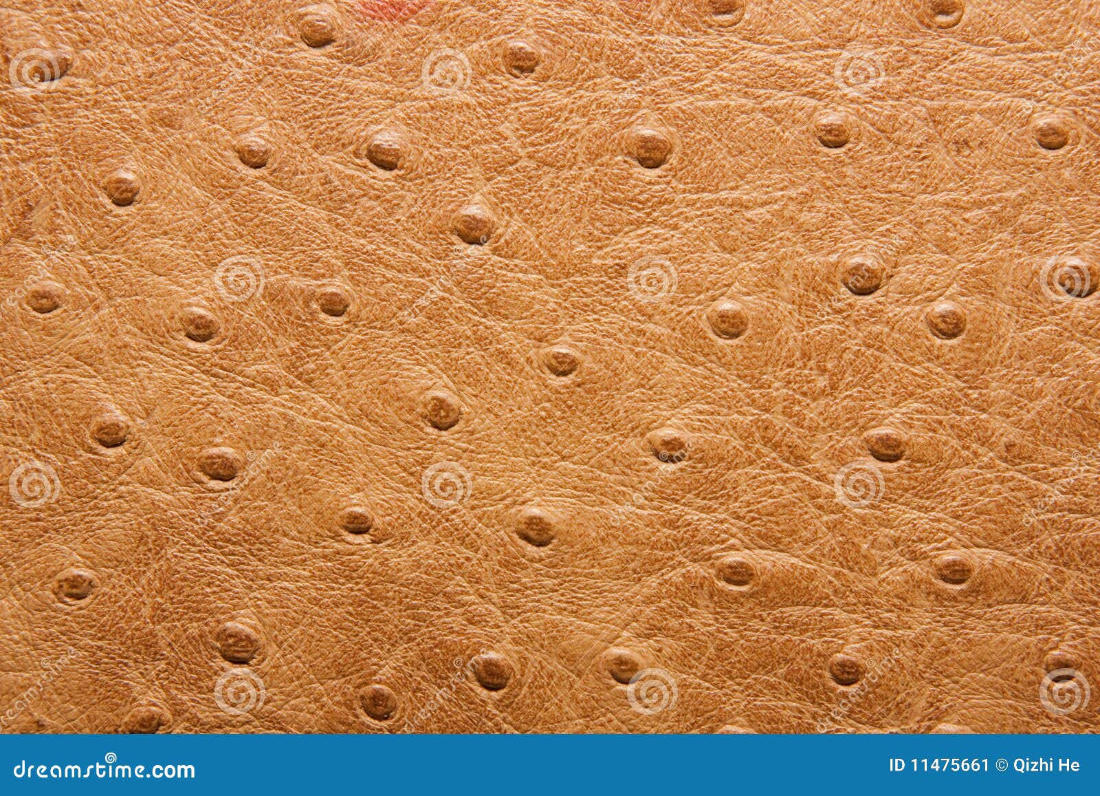 De Textuur van het leer stock afbeelding. Image of punt - 11475661