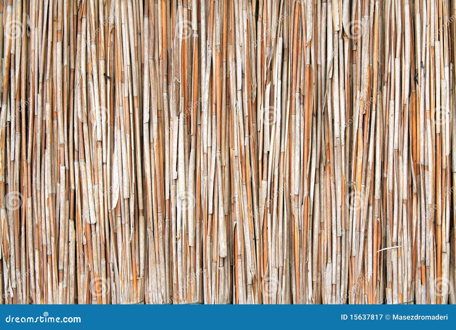 De textuur van het riet stock afbeelding. Image of bescherming - 15637817