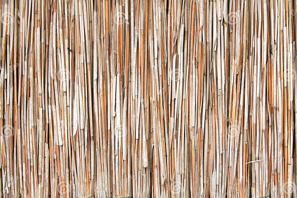 De textuur van het riet stock afbeelding. Image of bescherming - 15637817