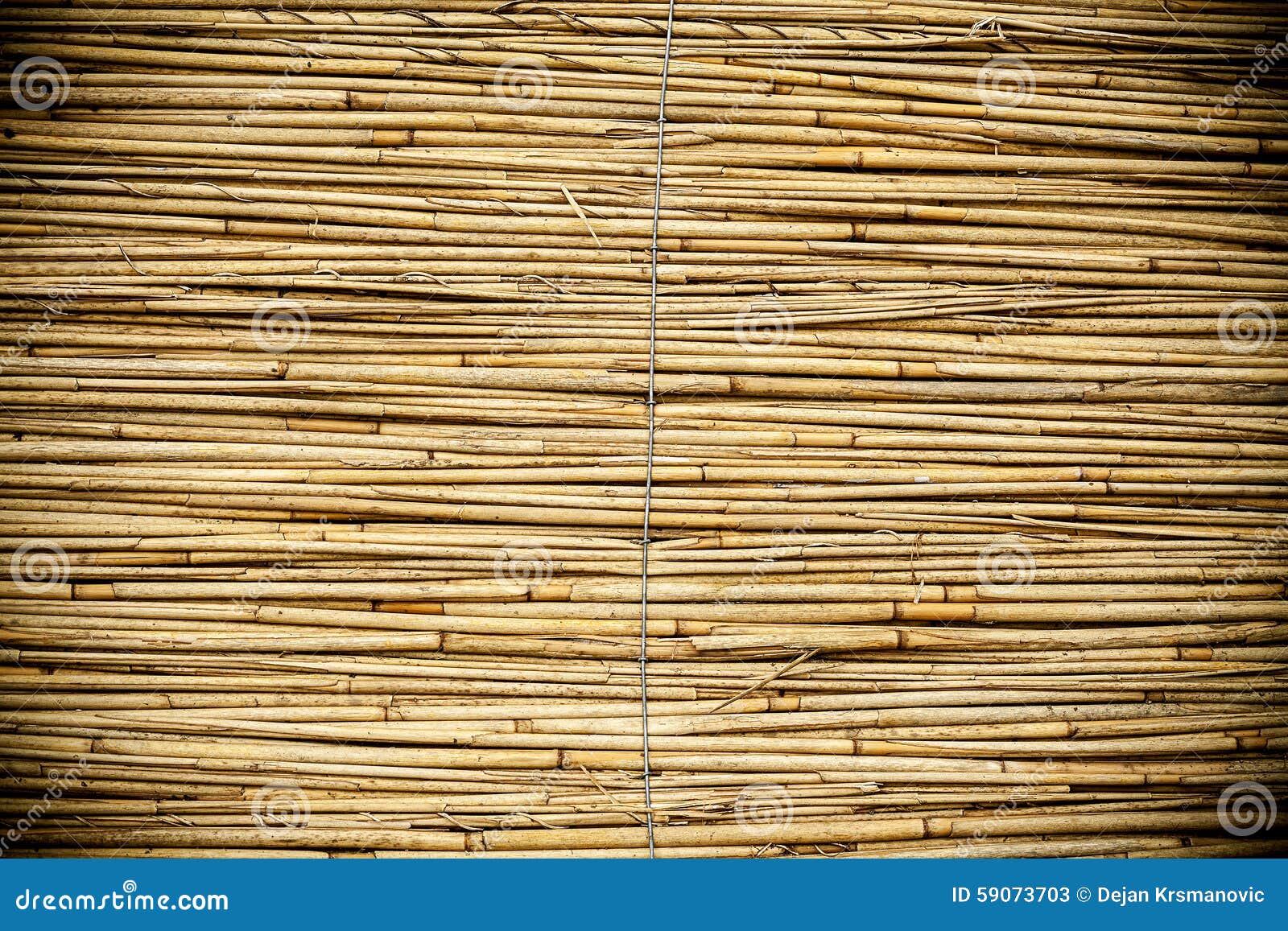 De textuur van het riet stock afbeelding. Image of achtergrond - 59073703
