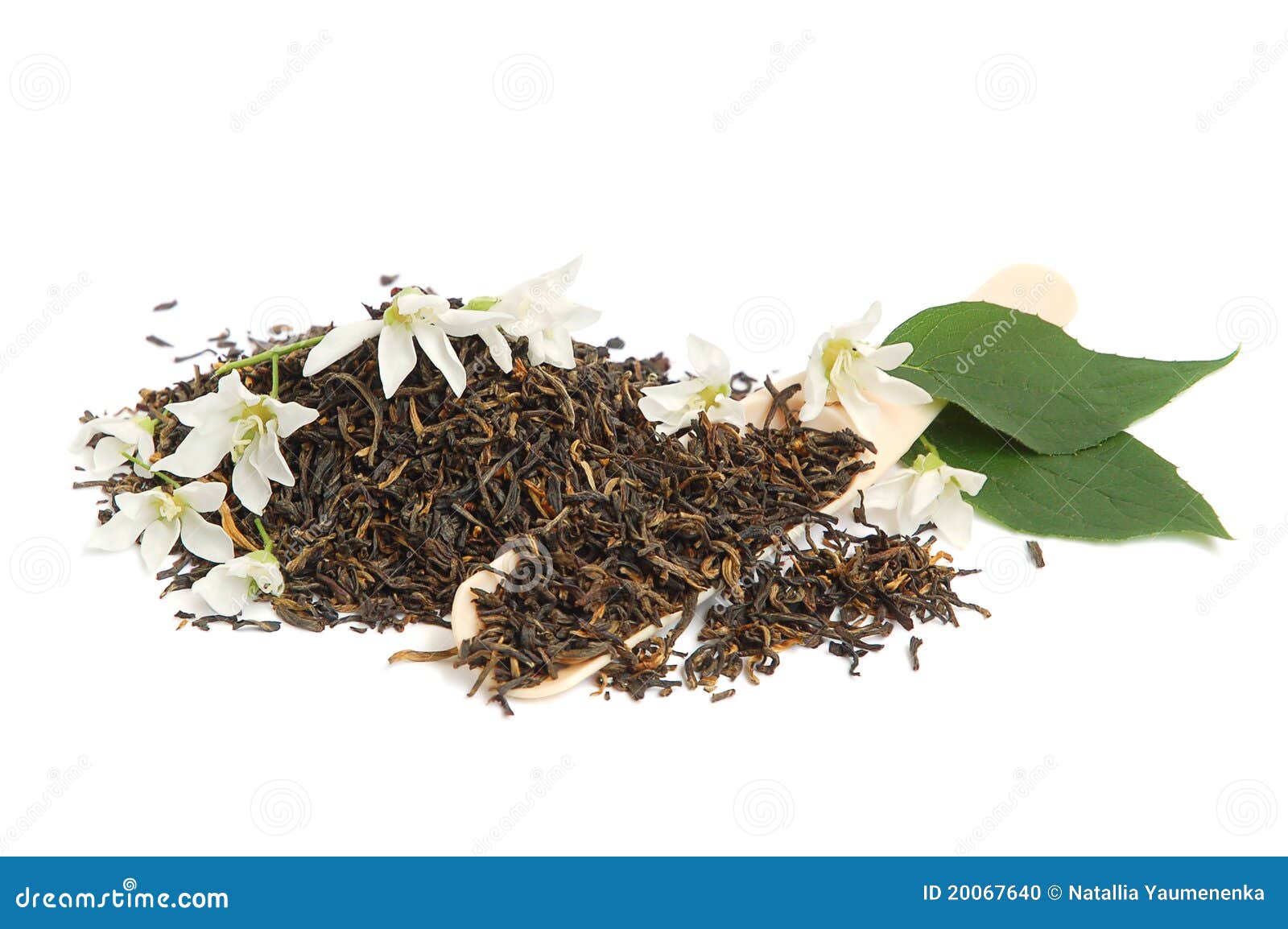 De thee van de jasmijn stock foto. Image of knop, sluit - 20067640