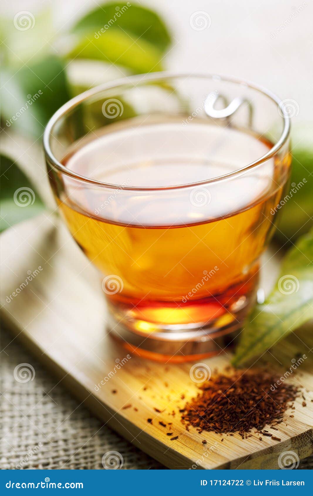 De thee van Rooibos stock foto. Image of sluit, rood - 17124722