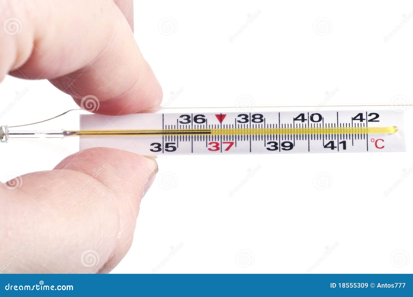 De Thermometer Van Het Kwik Stock Afbeelding - Image of rood, kwik ...