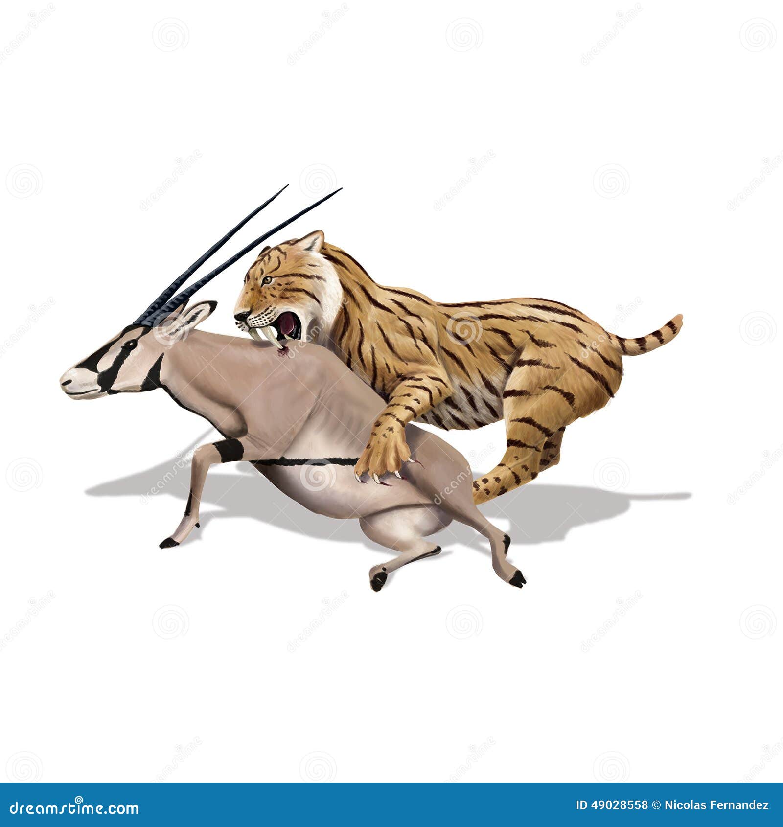 De tijger van de sabeltand stock illustratie. Illustration of wild ...