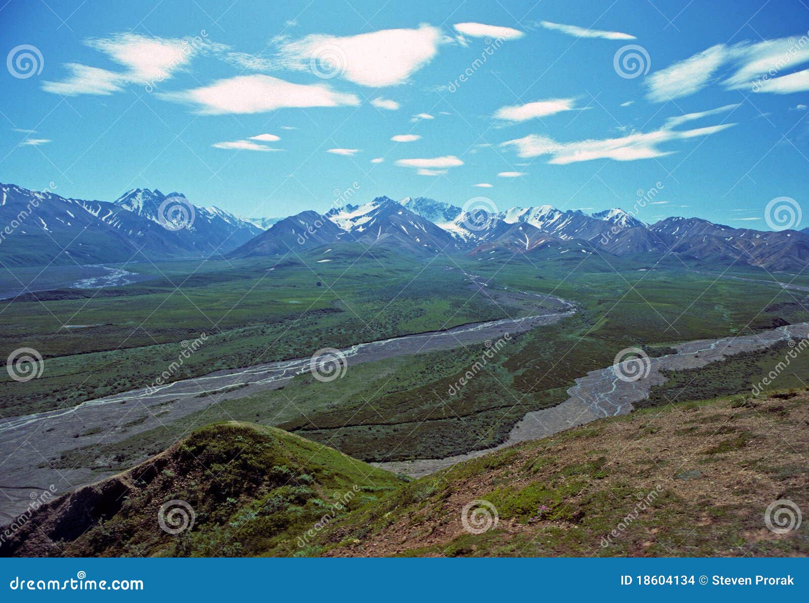 De Toendra Ontmoet De Bergen Stock Foto - Image of park, alaska: 18604134
