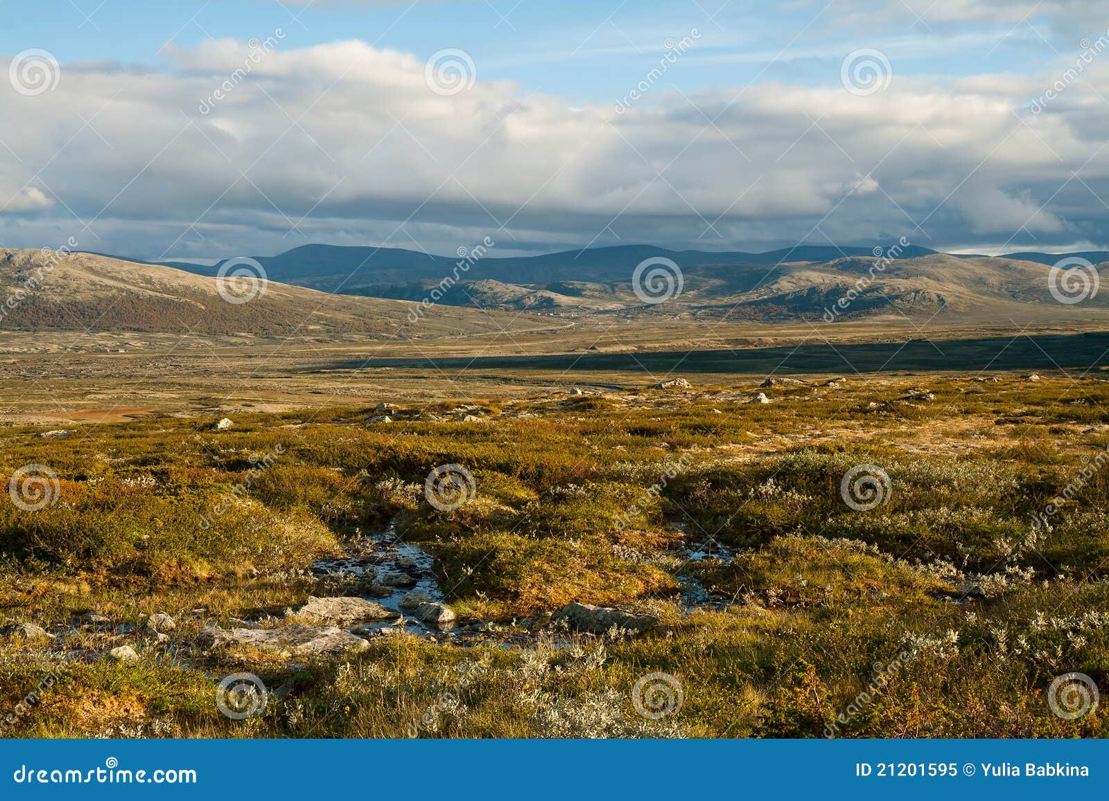 De toendra van de zomer stock afbeelding. Image of toendra - 21201595