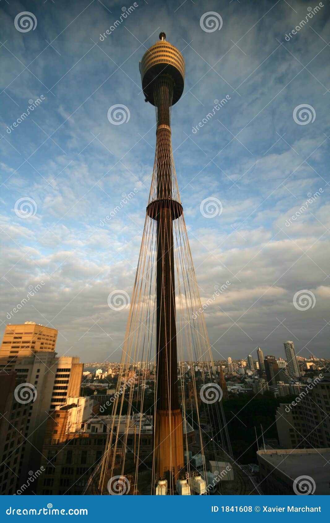 De toren van Sydney stock foto. Image of toren, hoog, kabels - 1841608