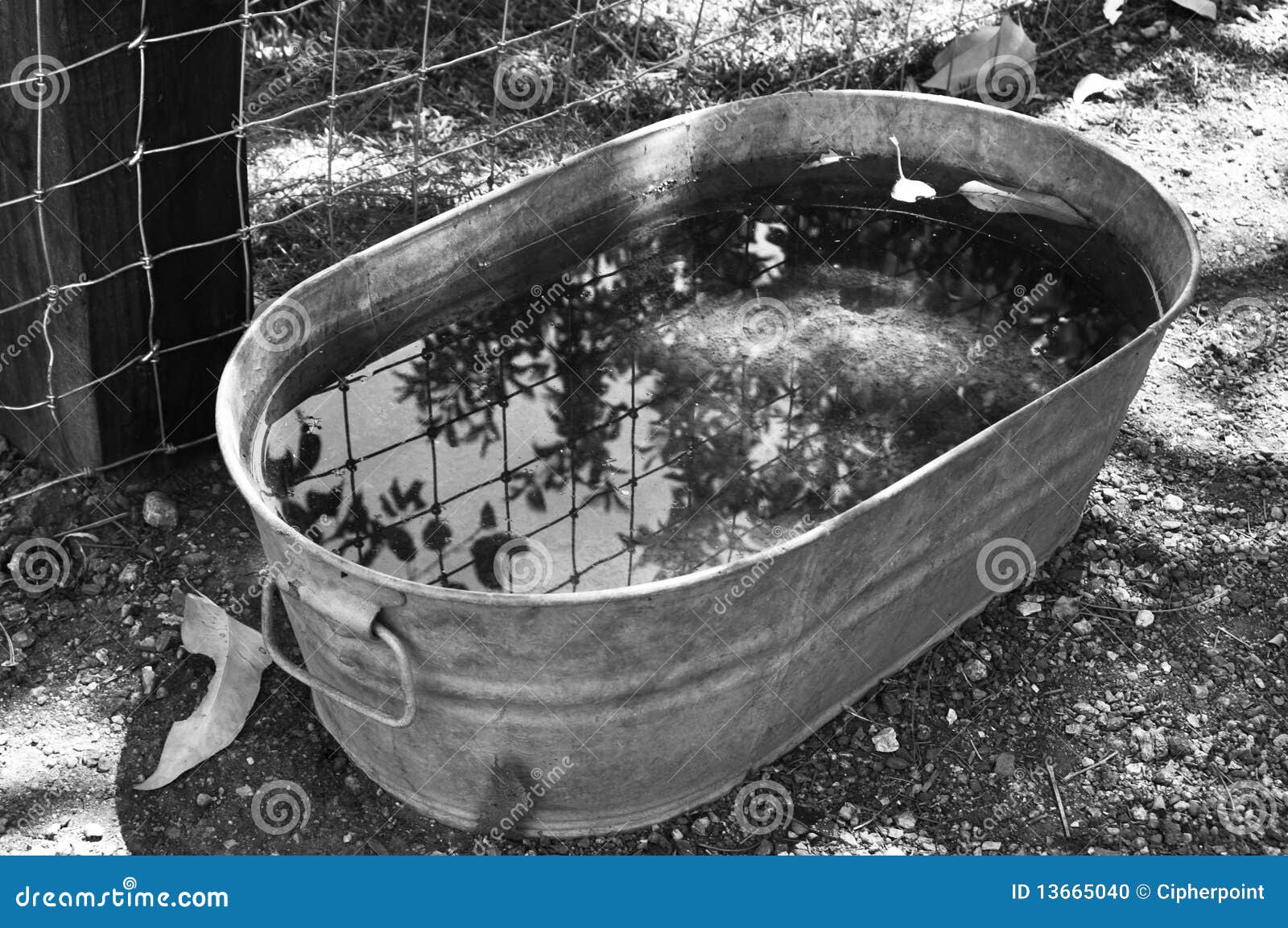 De Trog van het paard stock foto. Image of drank, dier - 13665040