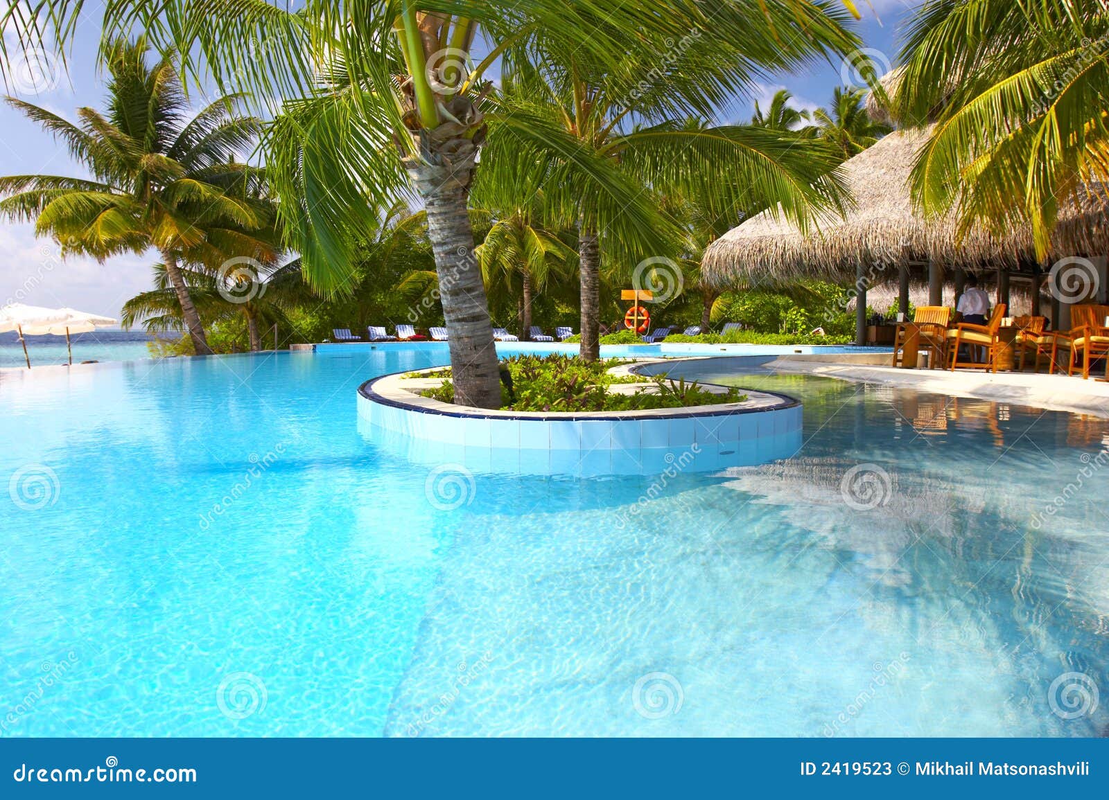 De tropische pool van Nice stock afbeelding. Image of groen - 2419523